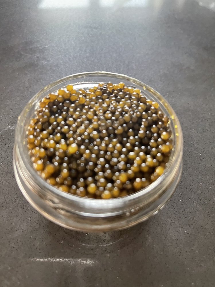 ALLEGRO DELI - Updated January 2026 - 44 Photos & 50 Reviews - 771 S ...