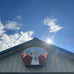 NICKY DOODLES - Updated July 2025 - 42 Photos & 44 Reviews - 1159 Erie ...