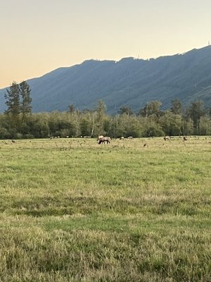 THREE FORKS NATURAL AREA - Updated July 2025 - 39912 SE Park St ...