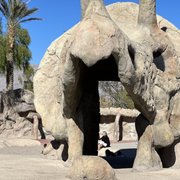 ALIANTE NATURE DISCOVERY PARK - 335 Photos & 116 Reviews - 2627 Nature ...