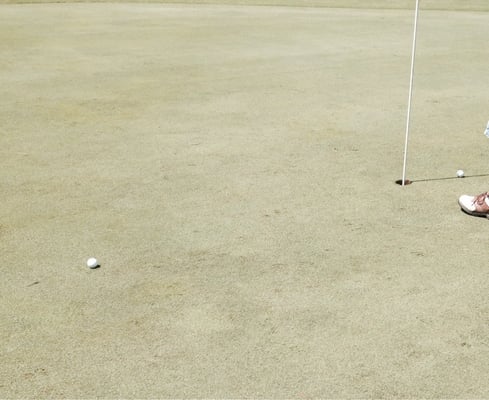 COLONIAL GOLF COURSE - Updated January 2026 - 78 Photos - 400 Colonial ...