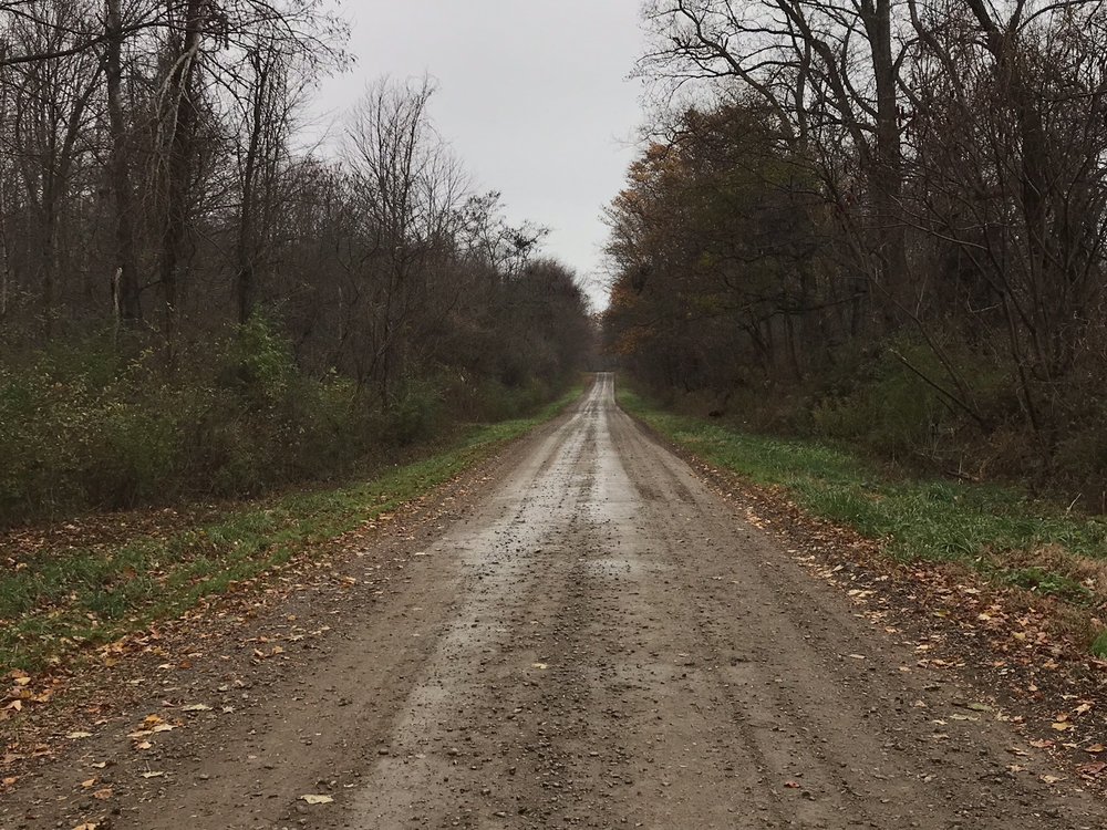 DAVID M RODERICK WILDLIFE RESERVE - Updated April 2025 - Old Lake Rd ...