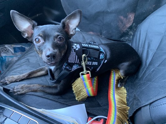 THE MASA PROJECT - Updated September 2025 - 61 Photos - Phoenix ...