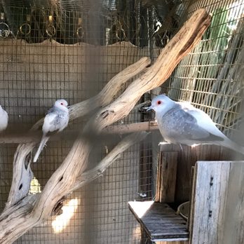 MAGNOLIA BIRD FARM - Updated December 2025 - 155 Photos & 210 Reviews ...