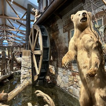 BASS PRO SHOPS - Updated January 2026 - 122 Photos & 99 Reviews - 6112 ...
