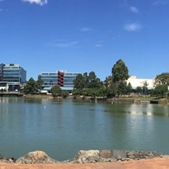 NORWEST LAKE - Updated January 2026 - 11 Solent Circuit, Baulkham Hills ...