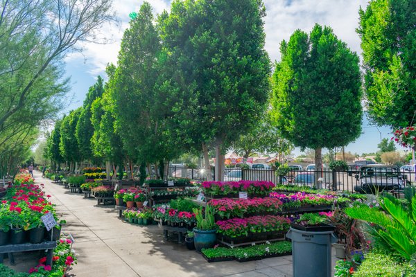 MOON VALLEY NURSERIES - Updated October 2025 - 189 Photos & 147 Reviews - 1828 N 52nd St ...