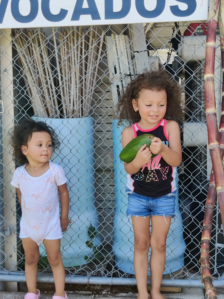 BOBBY COLVIN: FRESH EGGS, PRODUCE, & FRUIT TREES - 22 Photos - 3096 ...