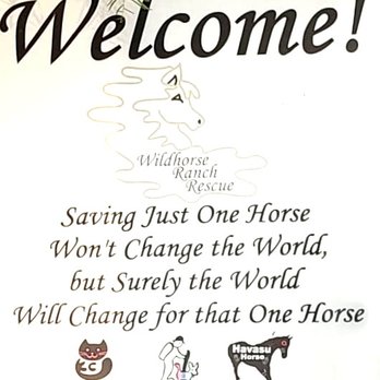 WILDHORSE RANCH RESCUE - Updated October 2025 - 17 Photos - 11811 S ...
