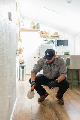 TRIGUARD PEST CONTROL - Updated July 2024 - 26 Photos & 32 Reviews ...