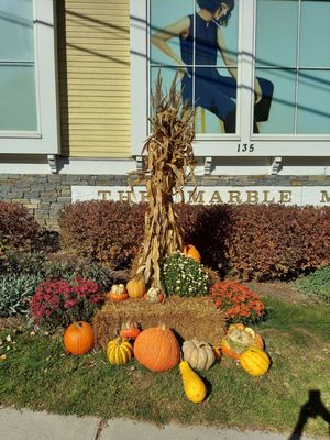 MANCHESTER DESIGNER OUTLETS - Updated October 2025 - 16 Photos - 65 ...