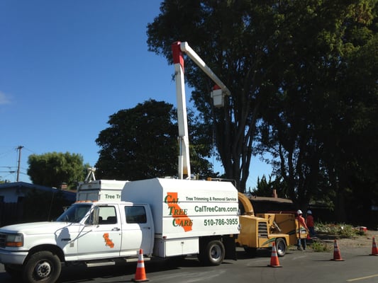 CAL TREE CARE - Updated May 2025 - 65 Photos & 170 Reviews - Hayward ...