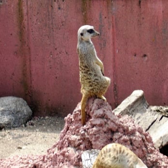 RED RIVER ZOO - Updated December 2024 - 174 Photos & 36 Reviews - 4255 ...