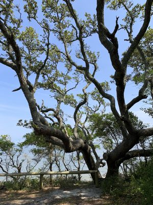 FORT RALEIGH NATIONAL HISTORIC SITE - 135 Photos & 33 Reviews - 1401 ...