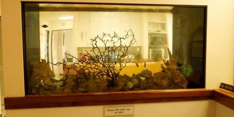 PETER A. MATSUURA, M.D - Updated December 2025 - 26 Photos & 17 Reviews ...