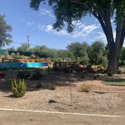VERDE RIVER RV RESORT & COTTAGES - 128 Photos & 39 Reviews ...