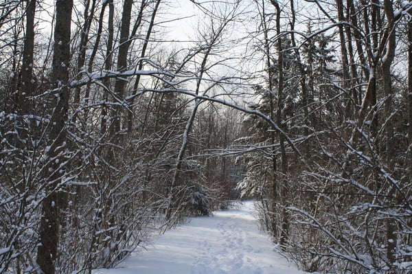 LEMOINE POINT CONSERVATION AREA - Updated February 2025 - Entrances off ...