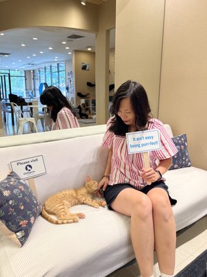 CATOPIA CAT CAFE - Updated December 2025 - 108 Photos & 48 Reviews - 8001 Wyoming Blvd NE ...