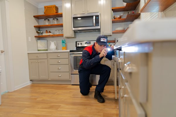 FOX PEST CONTROL - BLOOMINGTON - Updated December 2025 - 16 Photos ...