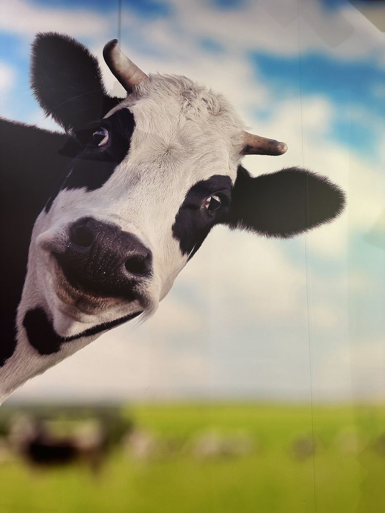 THE SCREAMERY - Updated November 2024 - 215 Photos & 234 Reviews ...