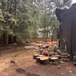 Best Tree Services Near Me - September 2025: Find Nearby Tree Services ...