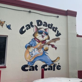 CAT DADDY CAT CAFE - Updated December 2025 - 30 Photos - 2533 US-176, Columbia, South Carolina ...