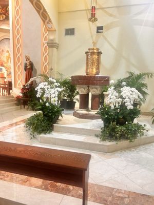 ST JAMES CATHOLIC CATHEDRAL - Updated June 2026 - 347 Photos & 18 ...