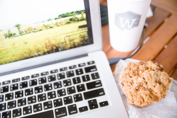 WILLISTON COFFEE SHOP - 38 Photos & 67 Reviews - 400 Cornerstone Dr ...