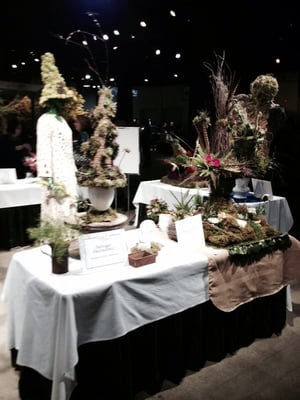 BOSTON FLOWER & GARDEN SHOW - Updated September 2025 - 55 Photos & 38 ...