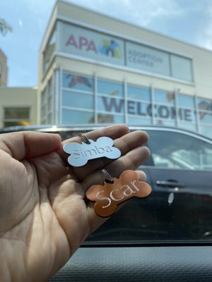 APA - BRENTWOOD - Updated October 2025 - 29 Photos & 41 Reviews - 1705 ...