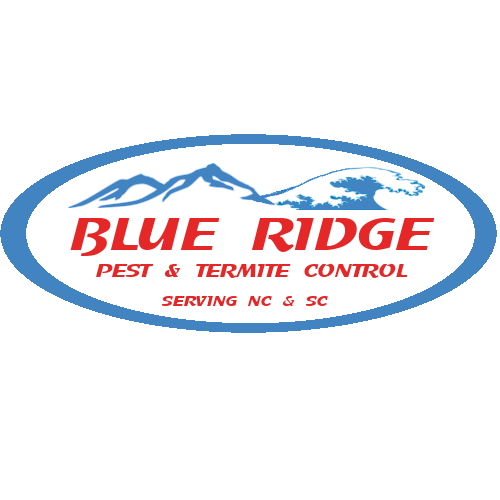 BLUE RIDGE PEST & TERMITE CONTROL - Updated January 2025 - 1754 Zion Rd ...