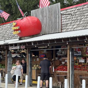 THE FAMOUS TOMATO - 329 Photos & 71 Reviews - 5002 W 10th St, Speedway ...