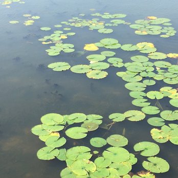 MOORE LAKE PARK - Updated December 2025 - 36 Photos - 5890 Central Ave ...