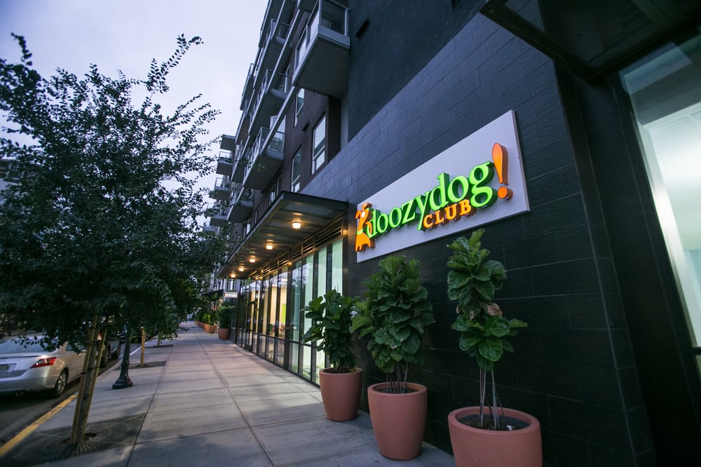 DOOZYDOG! CLUB - Updated March 2025 - 149 Photos & 302 Reviews - 634 ...