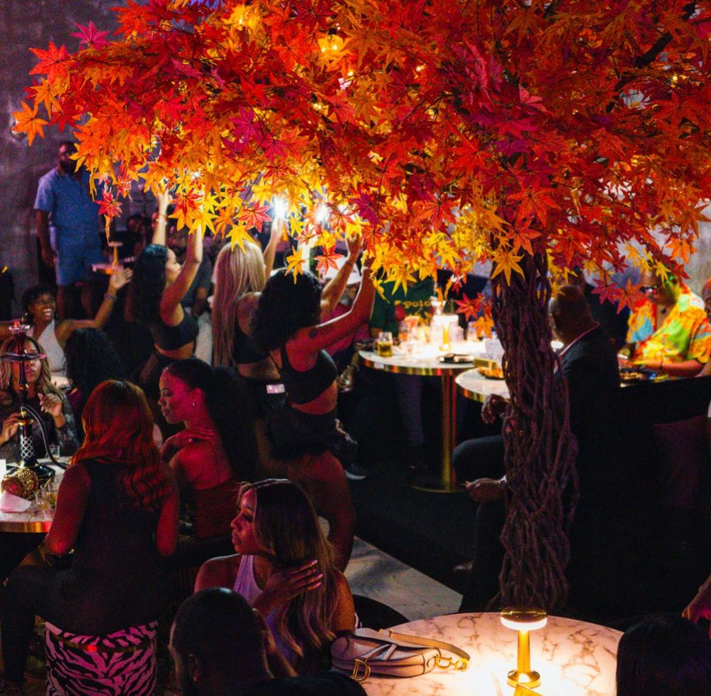 MAYA LOUNGE - Updated August 2025 - 68 Photos & 31 Reviews - 12513 ...