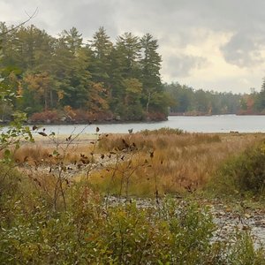 KIMBALL WILDLIFE FOREST LOCKE HILL - Updated June 2025 - 20 Photos - Nh ...