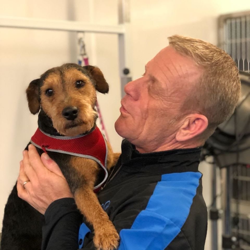 DAPPER DOGS - 12 Photos - 21 Cape Ind Est Coal Hill Lane, Pudsey, West ...