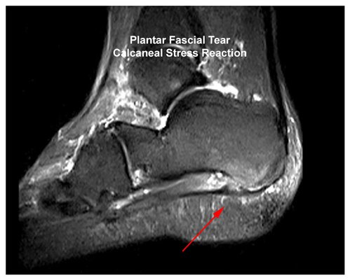 WILSON IMAGING - Updated October 2025 - 14 Photos & 10 Reviews - 222 ...