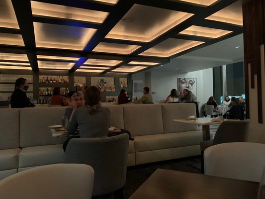 IL PALATO - Updated June 2024 - 70 Photos & 83 Reviews - 222 S Bemiston ...