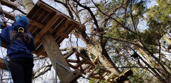 TRINITY FOREST ADVENTURE PARK - 126 Photos & 59 Reviews - Challenge ...