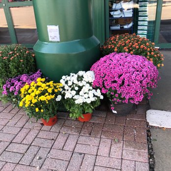 BETTER HEALTH STORE - Updated July 2025 - 18 Photos & 74 Reviews ...