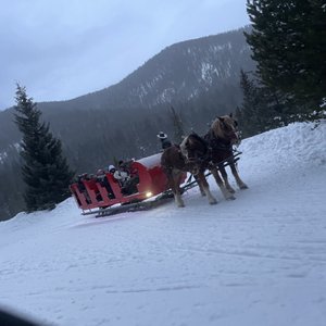 GOLDEN HORSESHOE SLEIGH RIDES - 77 Photos & 45 Reviews - 6061 Tiger Rd ...