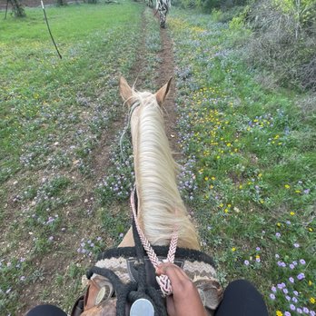 WESTCREEK TRAIL RIDES - Updated December 2025 - 109 Photos & 100 ...