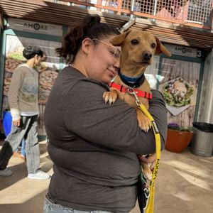 THE BLOCK - Updated December 2024 - 7805 Enchanted Hills Blvd, Rio ...