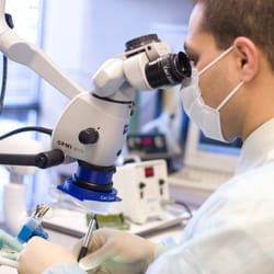 Endodontists - REZA RIAHI, DDS MMSC - 77 Reviews - 850 Middlefield Rd ...