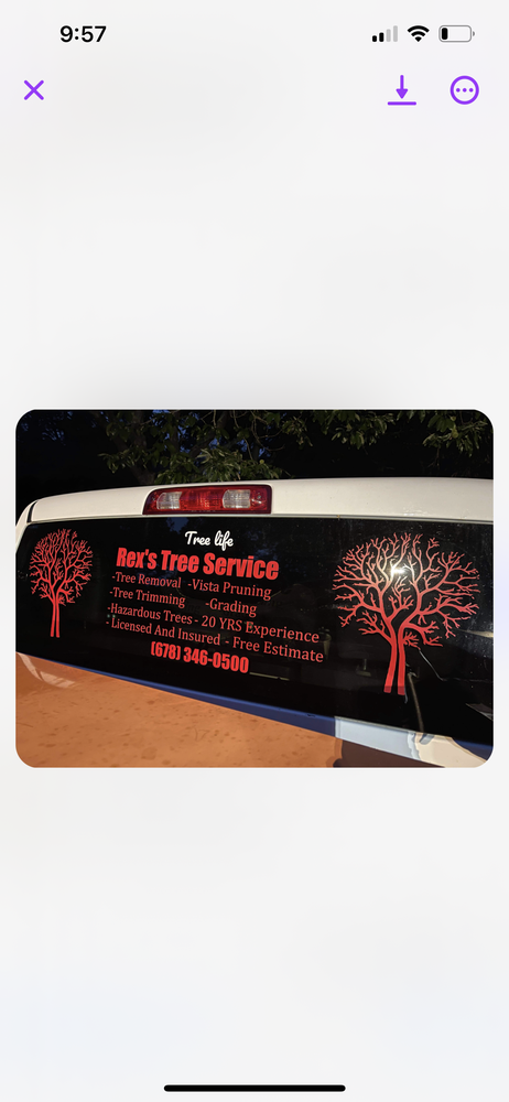 REX TREE SERVICE - Updated March 2025 - Lithonia, Georgia - Tree ...
