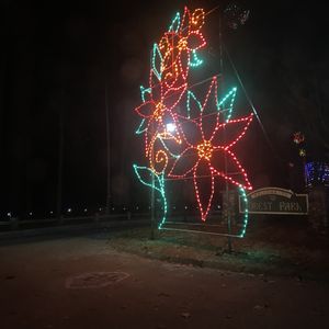 BRIGHT NIGHTS AT FOREST PARK - 107 Photos & 49 Reviews - 300 Sumner Ave ...