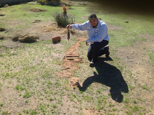 BURNS PEST ELIMINATION - Updated December 2025 - 81 Photos & 194 ...