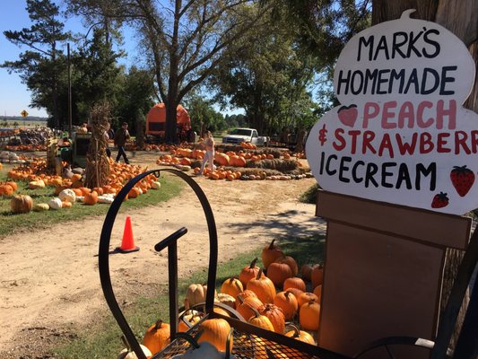 MARK’S MELON PATCH - 25 Photos & 15 Reviews - Fruits & Veggies - 8580 ...