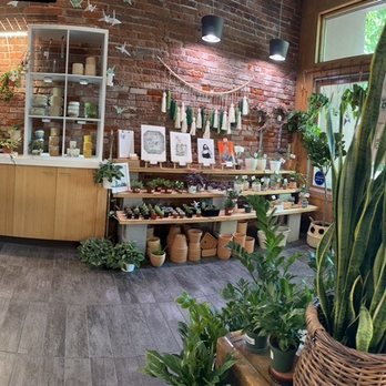 VANG’S PLANTS AND SUCCULENTS HUB - Updated December 2025 - 104 Photos ...